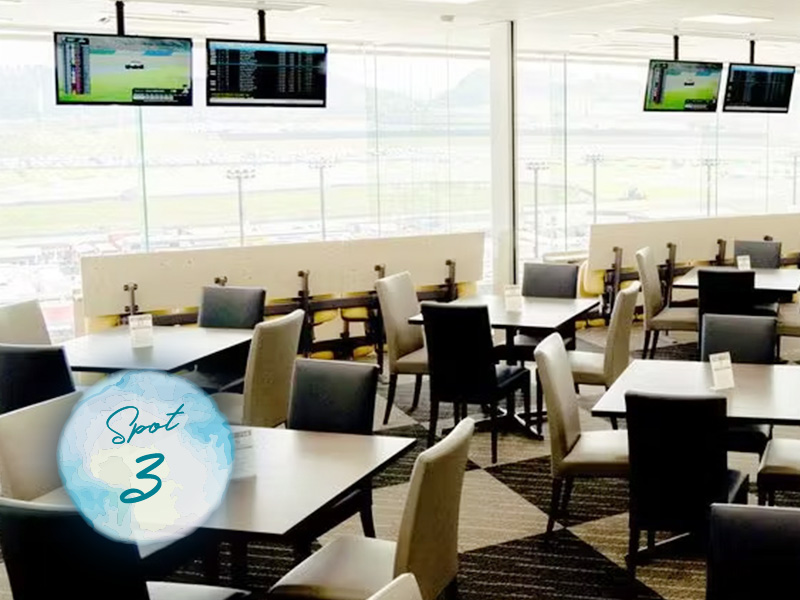 Summer Event Information - Summer Exciting Athletic Festival | Mobility ...