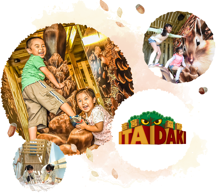 コンセプティブアスレチックで遊ぼう｜モビリティリゾートもてぎ